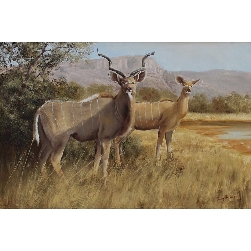 Thomas Hacking | KUDUS | MutualArt