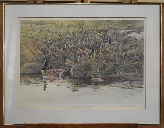 Brenda Carter | BRENDA CARTER LITHOGRAPH 'FIRST SWIM - CANADA | MutualArt