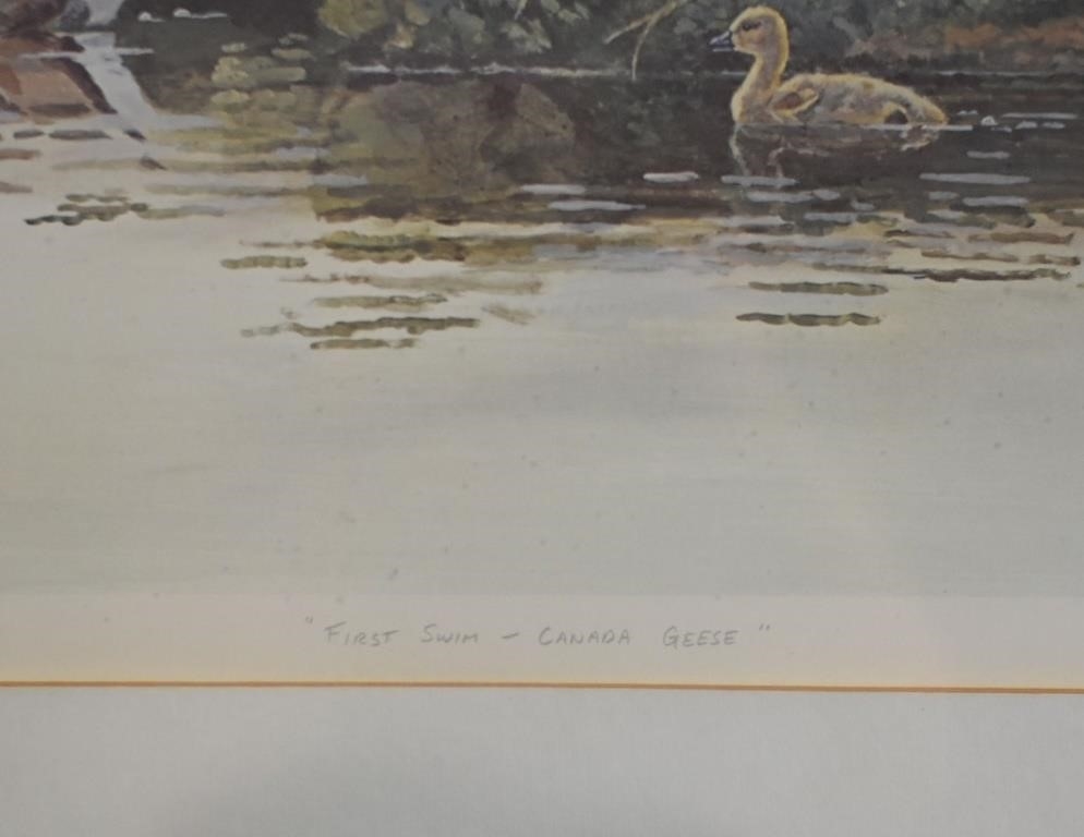 Brenda Carter | BRENDA CARTER LITHOGRAPH 'FIRST SWIM - CANADA | MutualArt