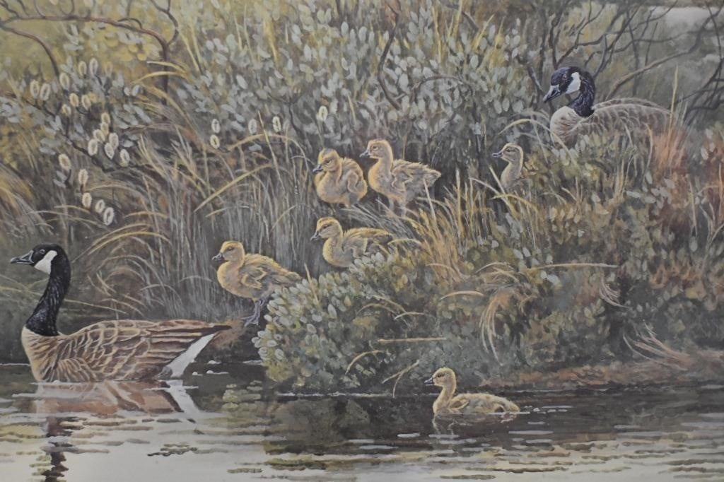 Brenda Carter | BRENDA CARTER LITHOGRAPH 'FIRST SWIM - CANADA | MutualArt