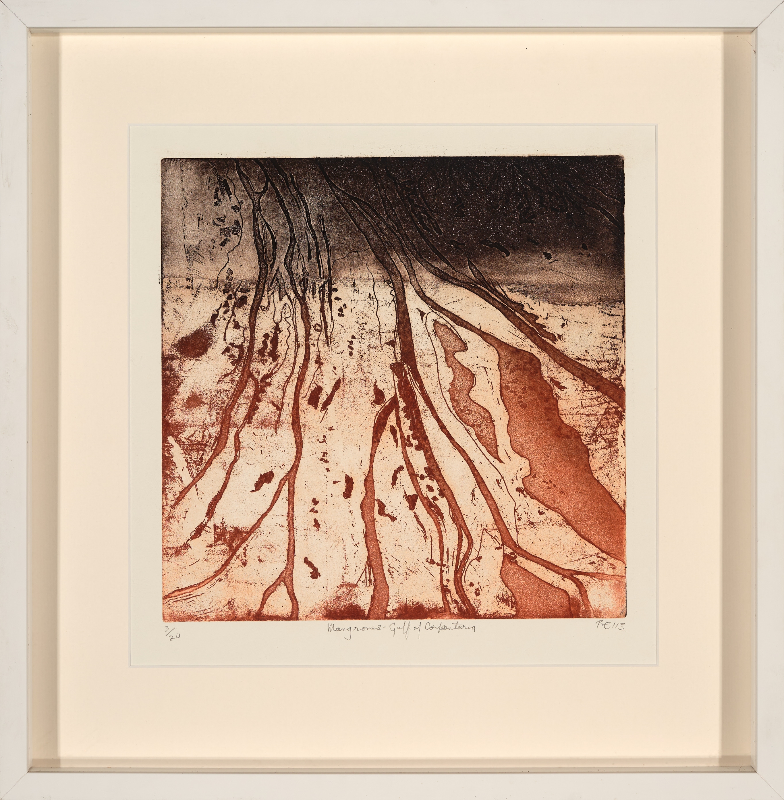 Robert Enemark | Mangroves, Gulf of Carpentaria (2013) | MutualArt