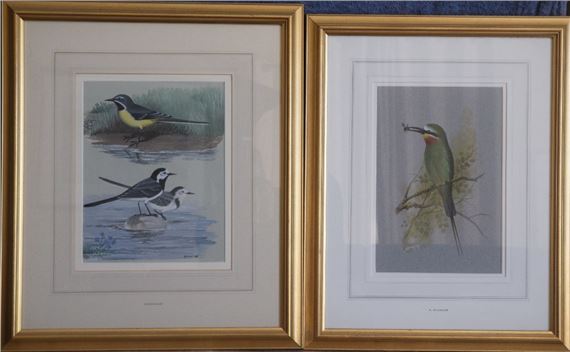 Andrew Micallef | Biography