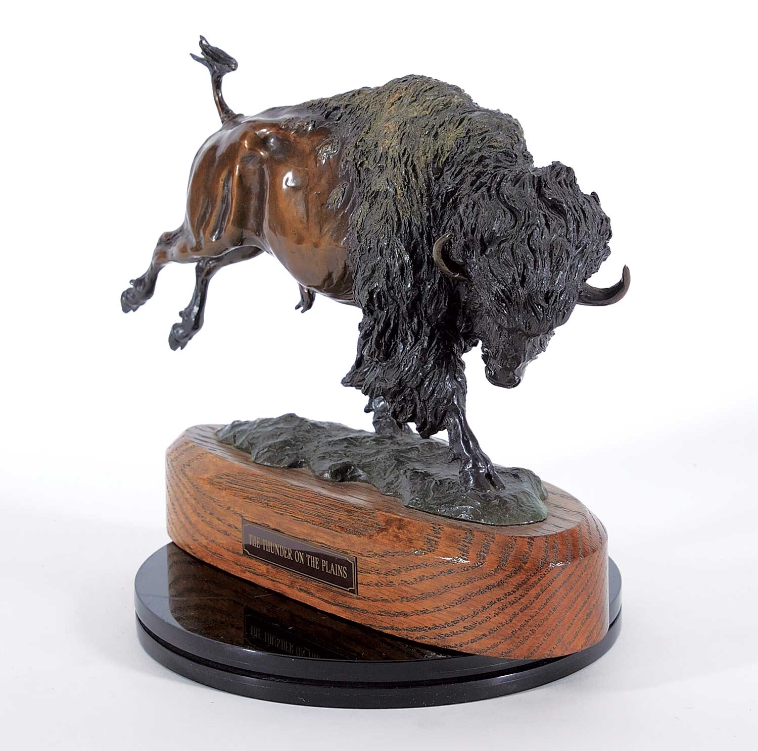 Don Toney | The Thunder on the Plains (2000) | MutualArt