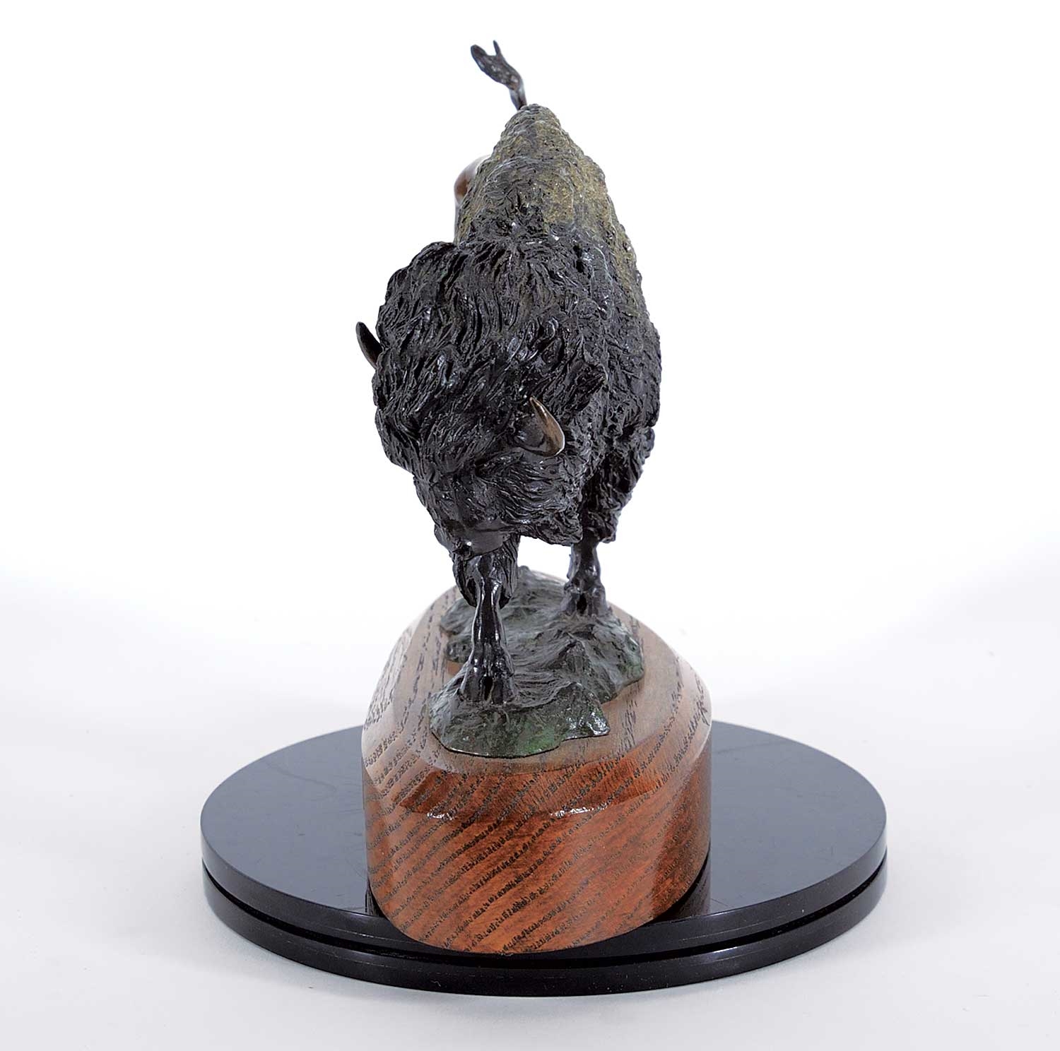 Don Toney | The Thunder on the Plains (2000) | MutualArt