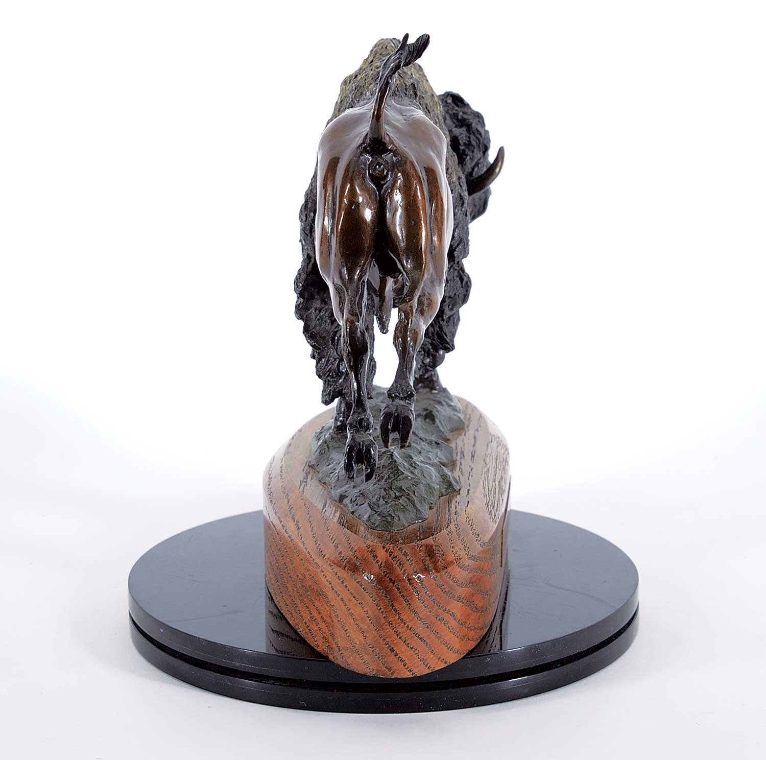 Don Toney | The Thunder on the Plains (2000) | MutualArt