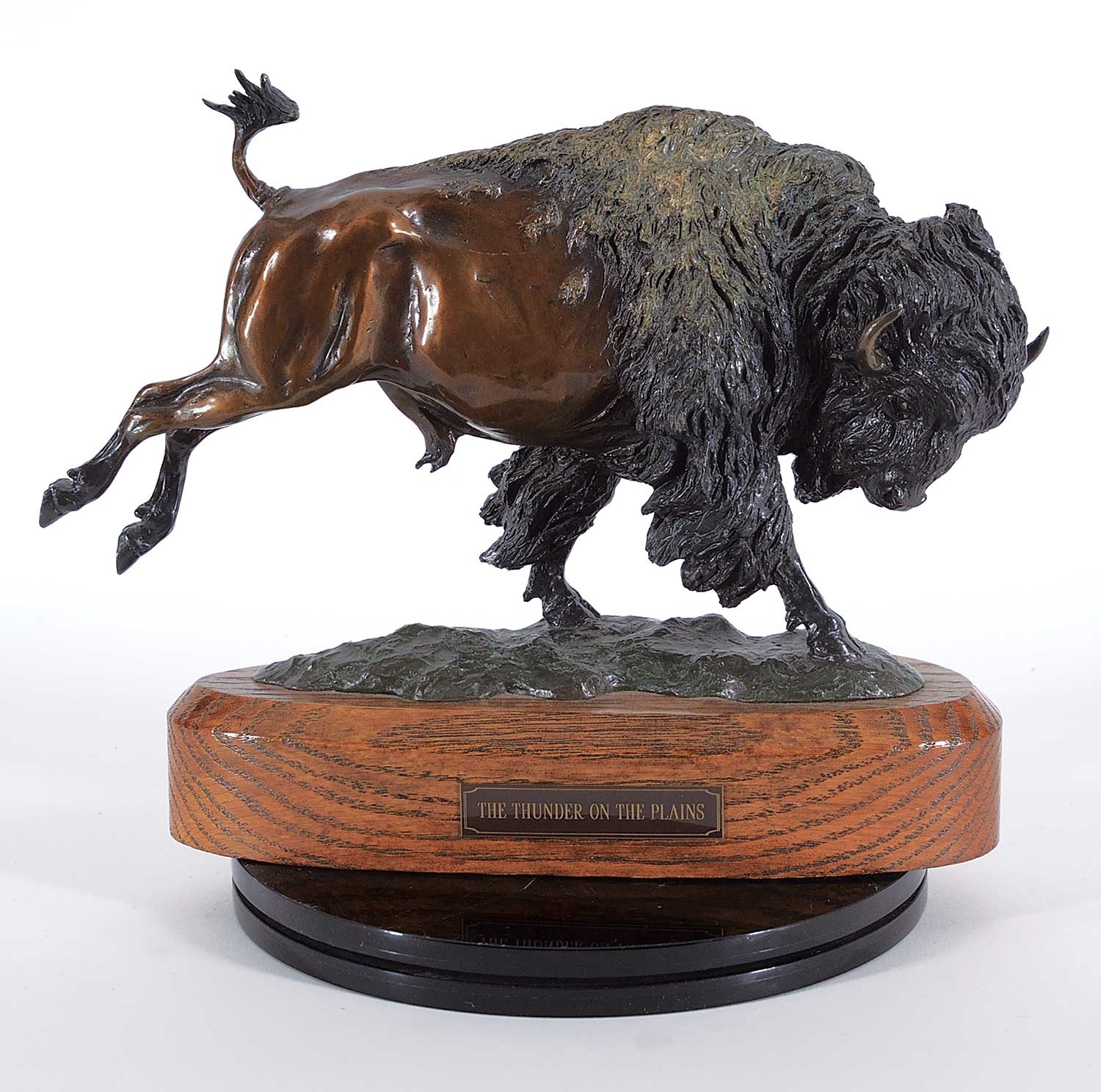 Don Toney | The Thunder on the Plains (2000) | MutualArt