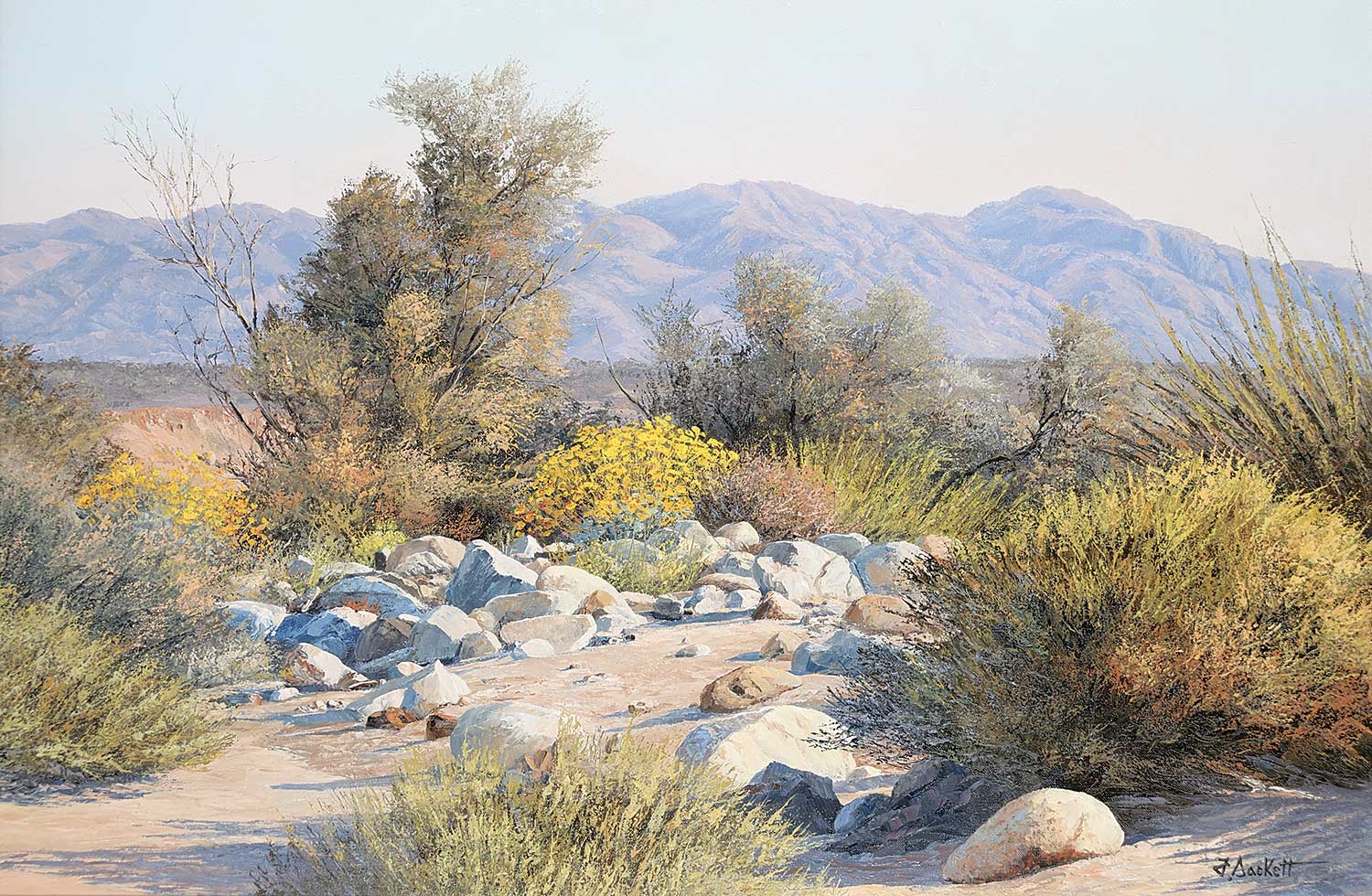 Florence Sackett | Desert Treasures | MutualArt
