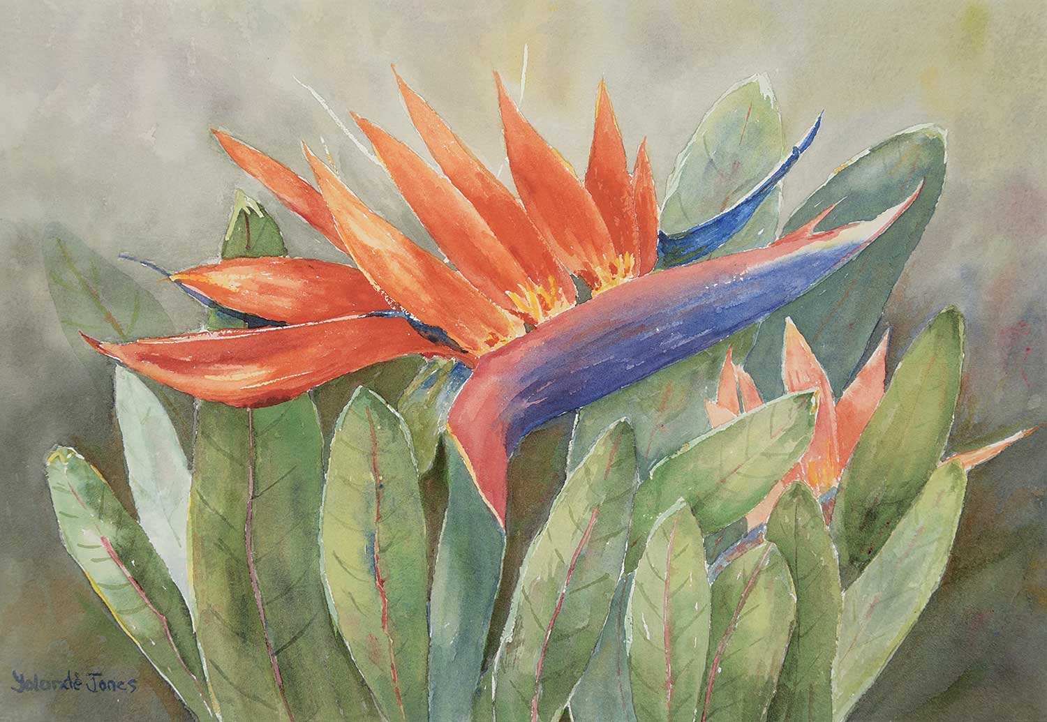 Yolande A. Jones | Untitled - Bird of Paradise | MutualArt