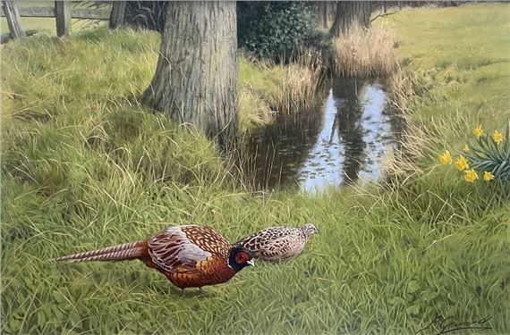 Philip Gerrard | Spring Pheasants | MutualArt