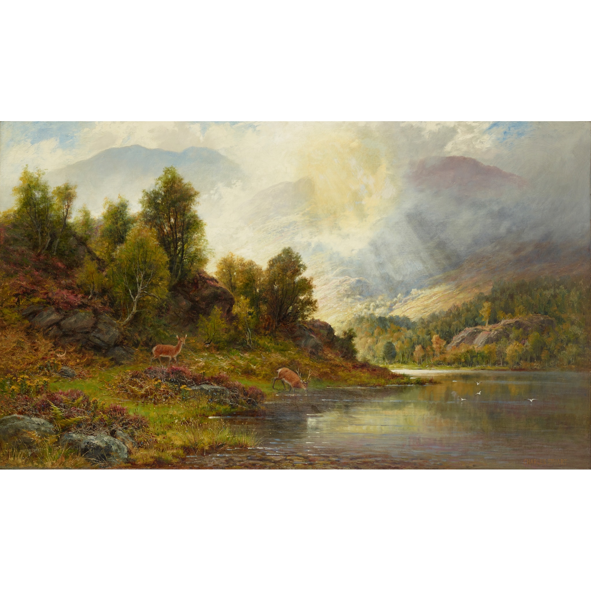 Charles Stuart | Grapes on a stone step (1860) | MutualArt