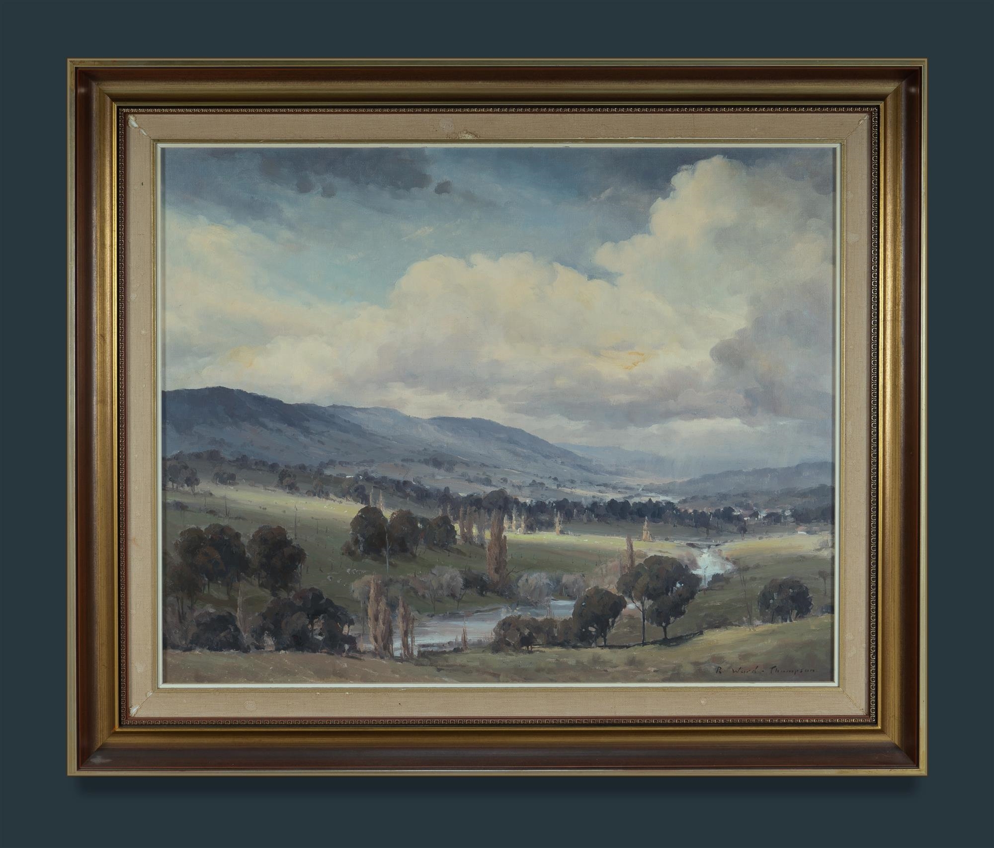 Ramon Ward Thompson | Bong Bong Landscape, NSW | MutualArt