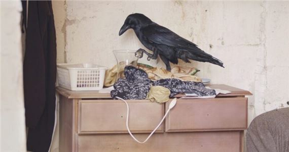Spark Birds & the Loneliness of... | Exhibitions | MutualArt