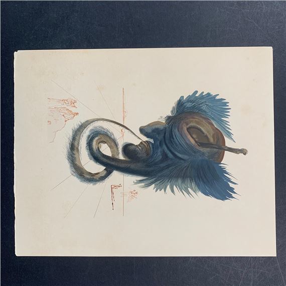 Salvador Dalí | Diviners and Sorcerers | MutualArt