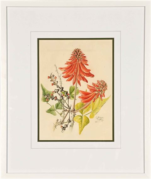 Cythna Letty | Biography