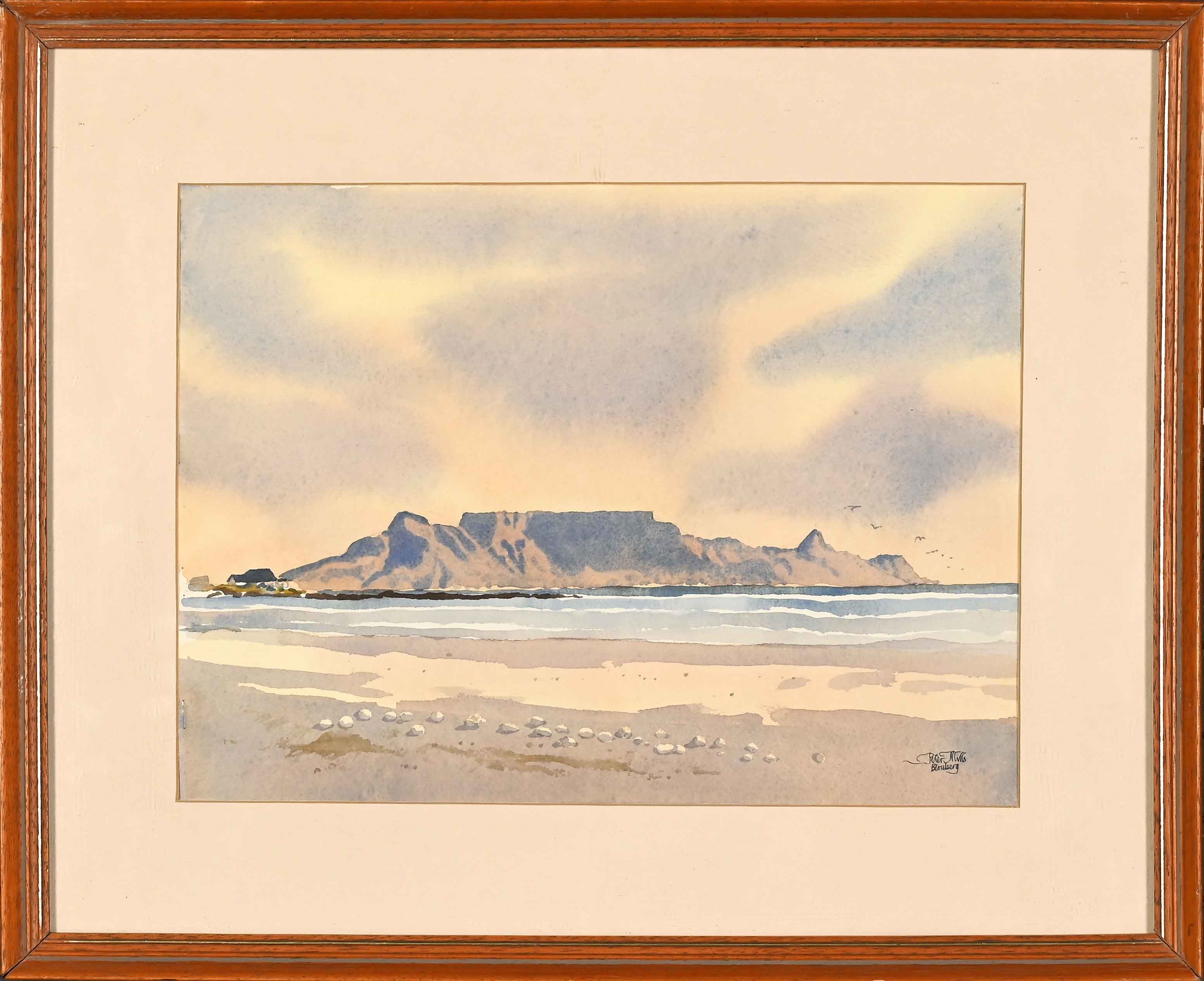 Peter Mills | Blouberg | MutualArt