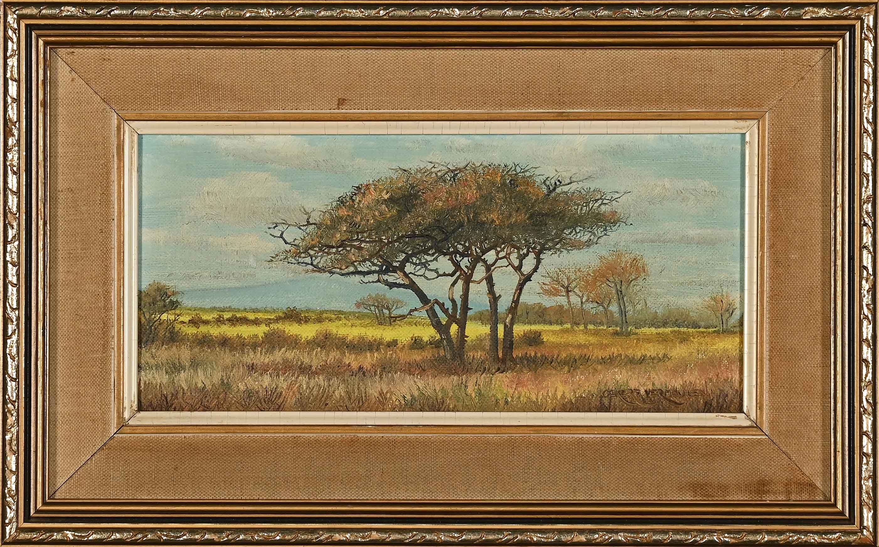 Ockert Vermeulen | Tree in the Bushveld | MutualArt