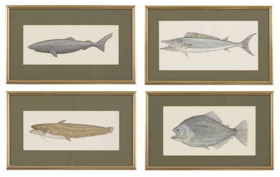 Phil Cole | Legend of Loch Ness Greenland Shark; set of four | MutualArt