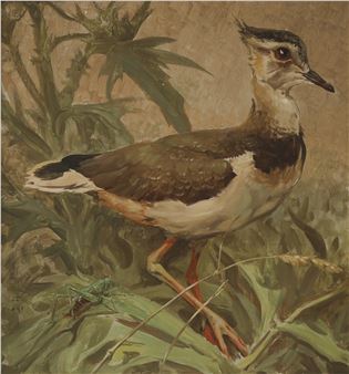 Richard Barrett Talbot Kelly | 119 Artworks at Auction | MutualArt