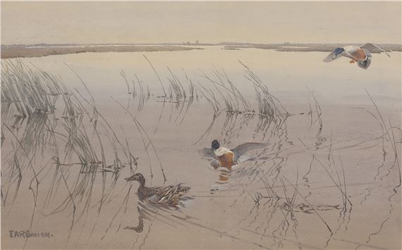 Eric Arnold Roberts Ennion | Shovelers - Two Drakes Chasing a Duck ...