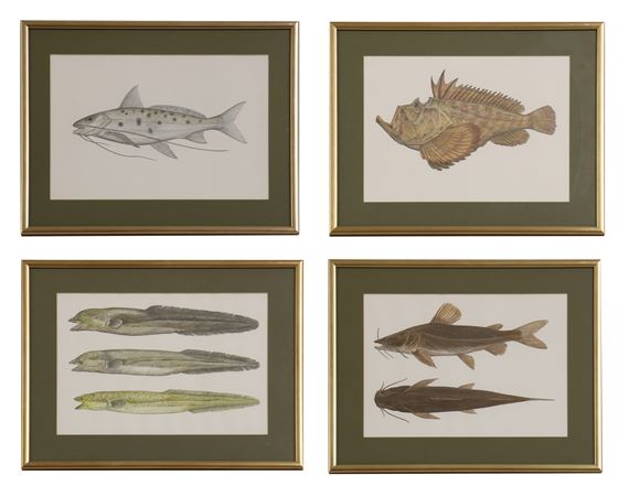 Phil Cole | Death Down Under Stone Fish; set of four | MutualArt