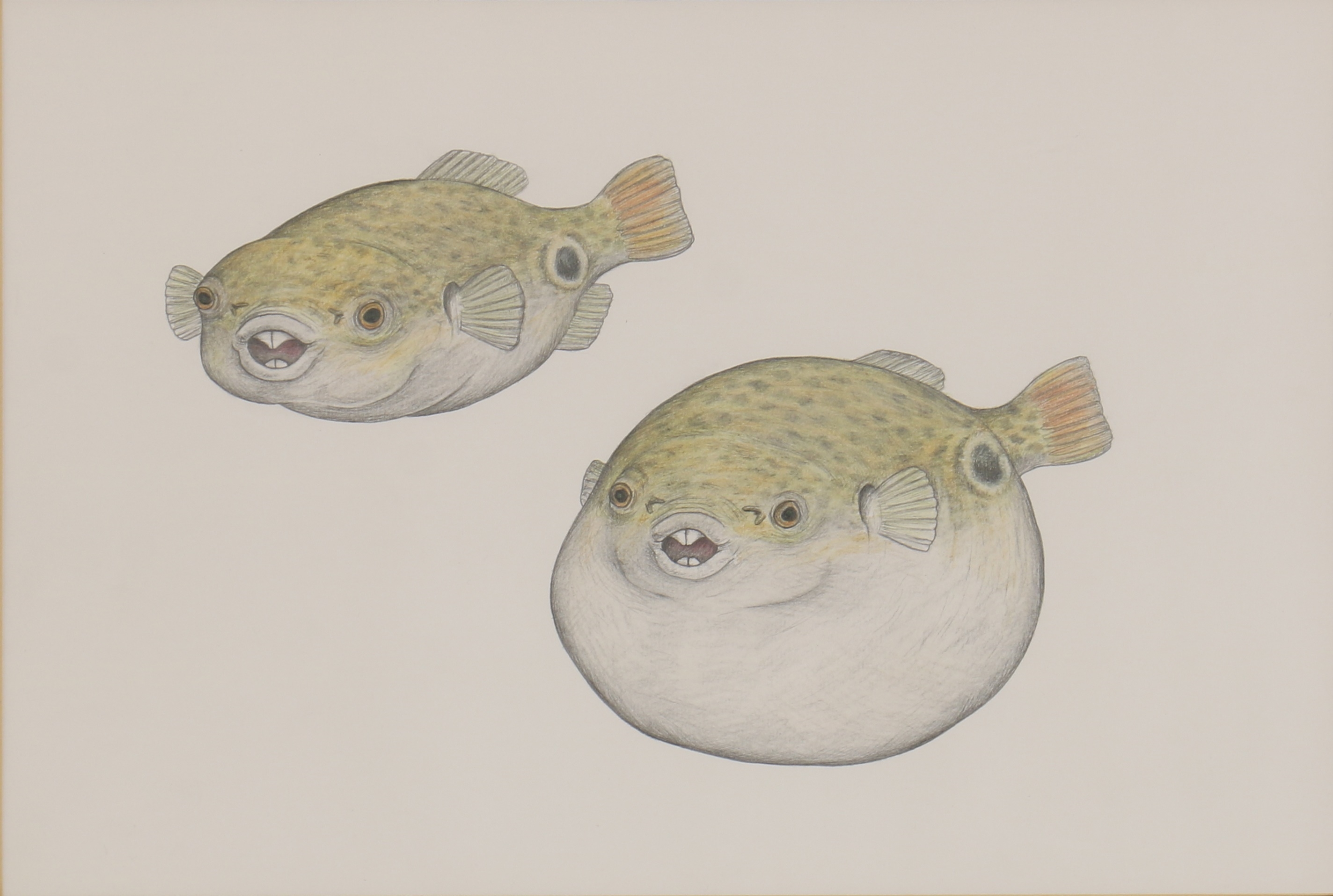 Phil Cole | Jungle Terminator Electric Eel; set of four | MutualArt