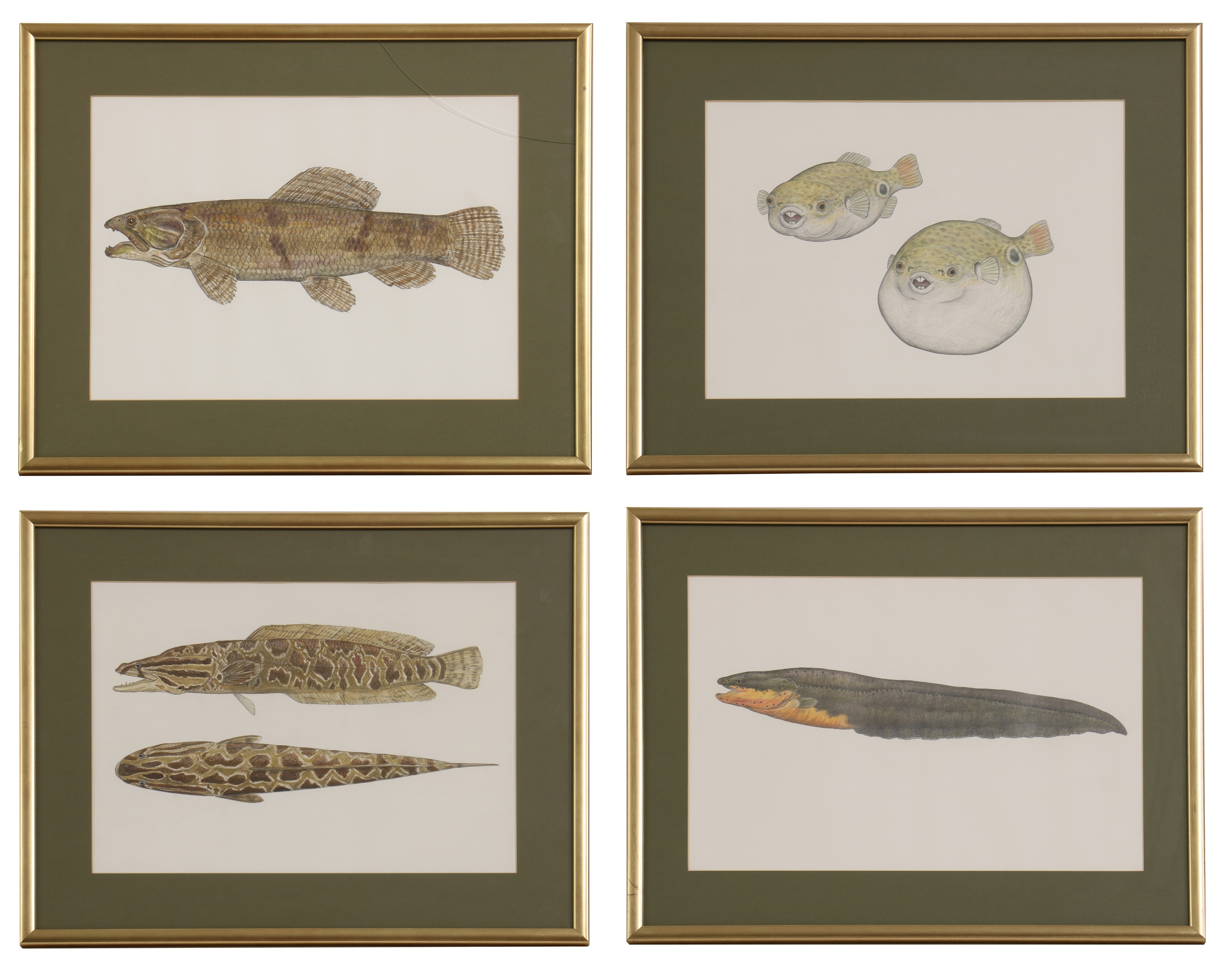 Phil Cole | Jungle Terminator Electric Eel; set of four | MutualArt