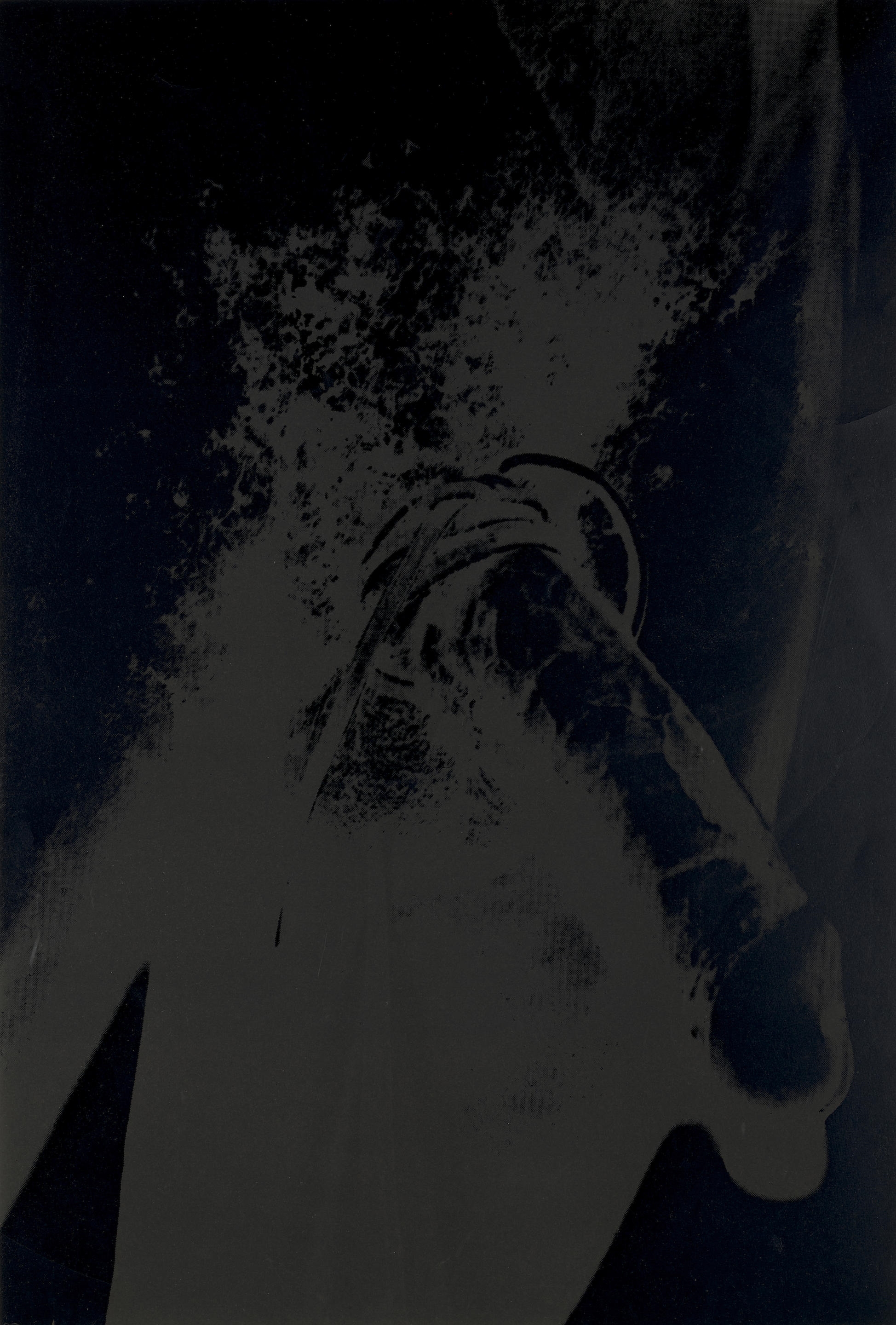 Andy Warhol | Torso, 1977 (Feldman & Schellmann IIA.2b) (1977) | MutualArt