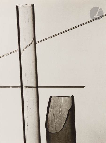 Willy Ottfried Zielke | Photography 1929-1935. (1929 - 1935) | MutualArt