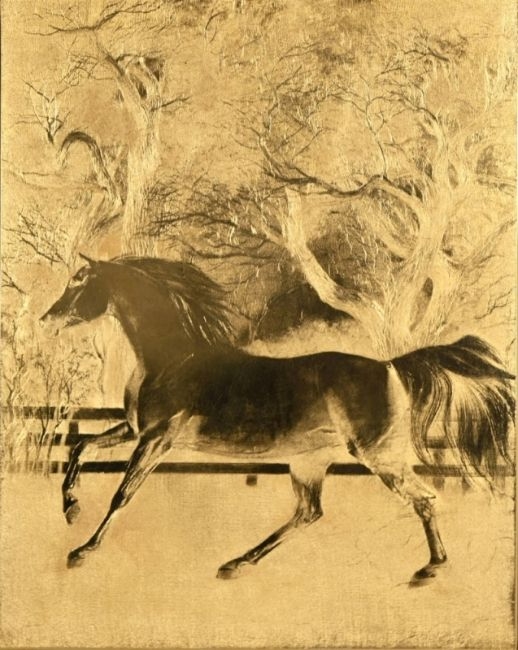 Gatja Helgart Rothe | Arabian Colt | MutualArt