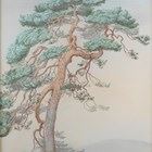 Daphne Constance Allen | A Pine Tree of Glen Falloch (20th Century ...