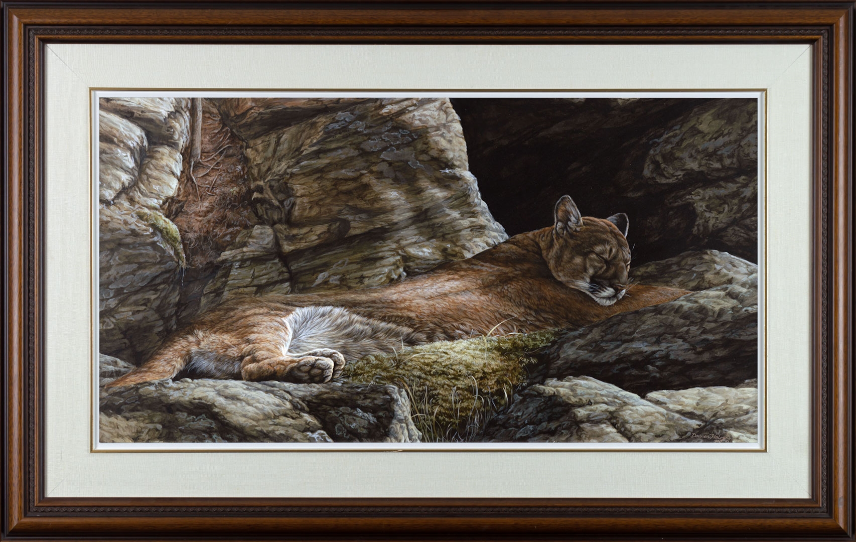 Darren Haley | Cat Napping | MutualArt