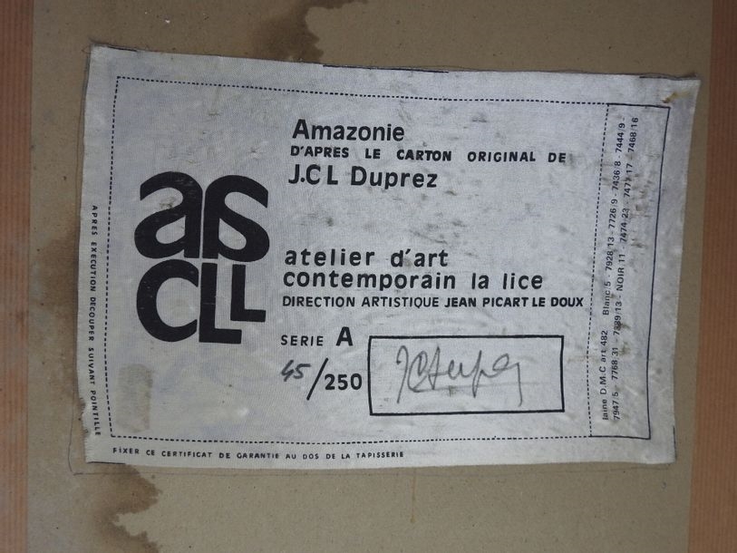 Jean-claude Duprez | Amazonie | MutualArt