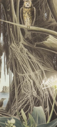 Isson Tanaka | Banyan trees and long-eared owl (estampe) | MutualArt