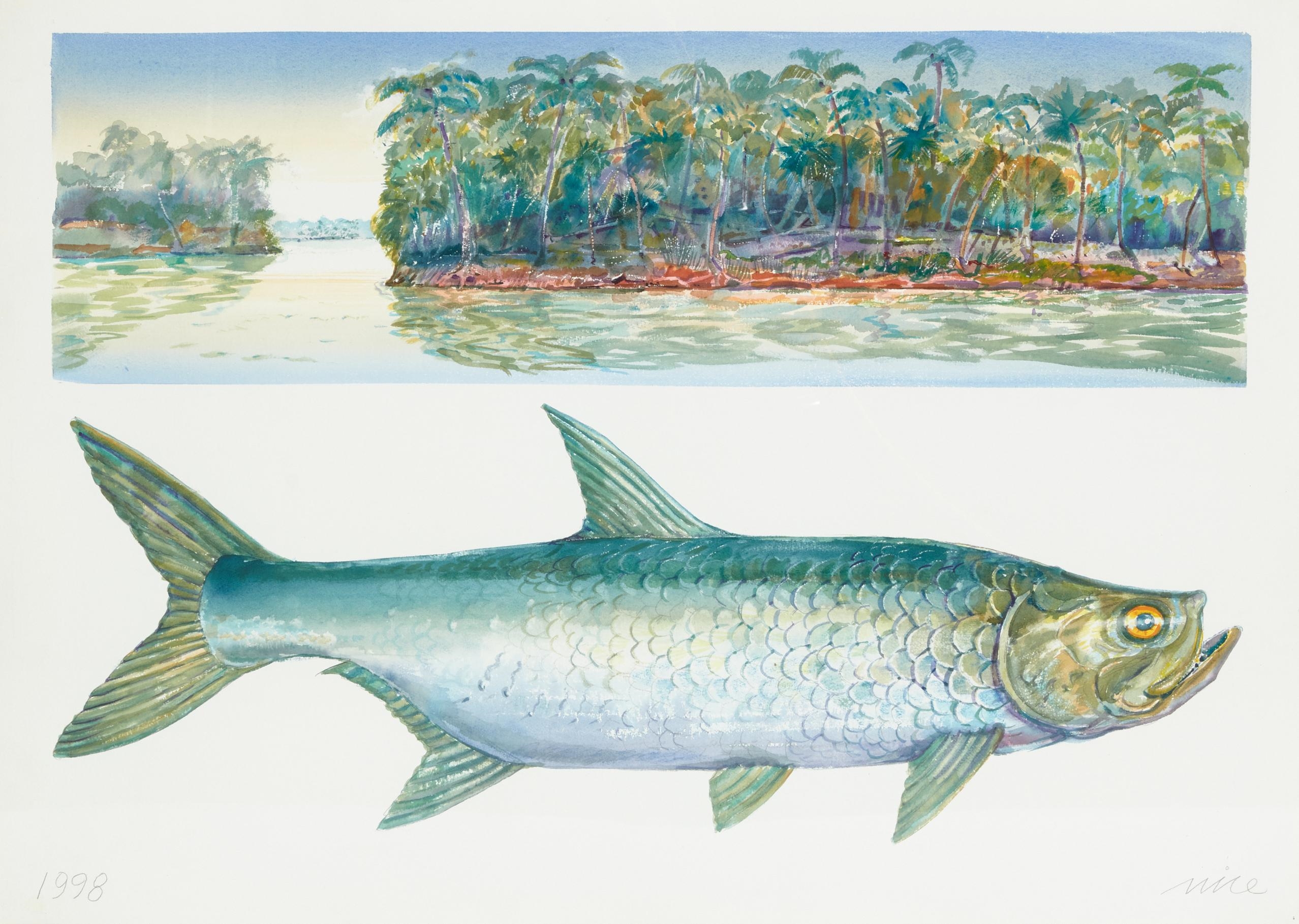 Don Nice | Study of a Fish below Waterway, 1998 (1998) | MutualArt