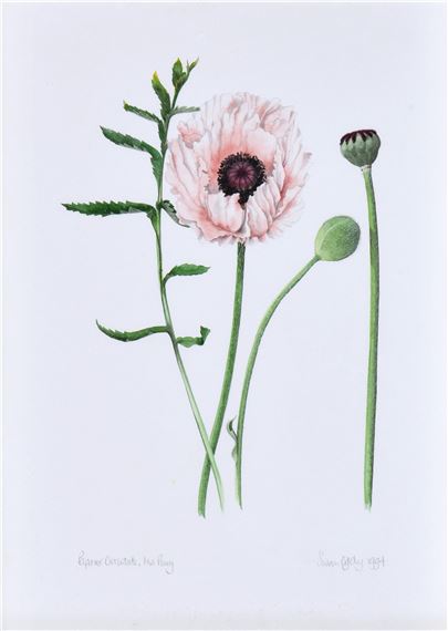 Susan Ogilvy | 3 Artworks | MutualArt