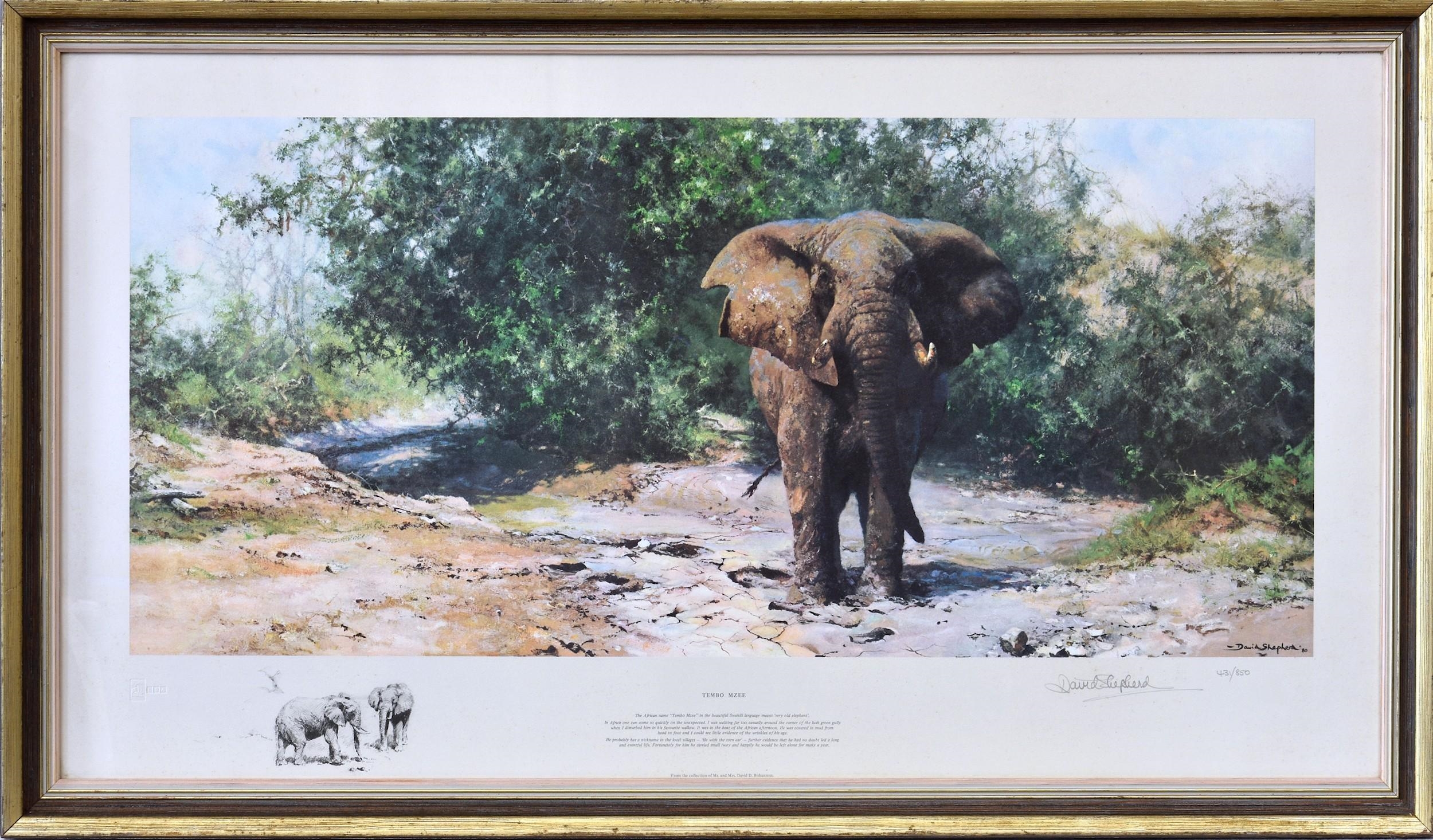 David Shepherd | Tembo Mzee | MutualArt