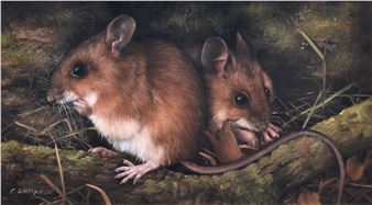 Carl Andrew Whitfield | 27 Artworks at Auction | MutualArt