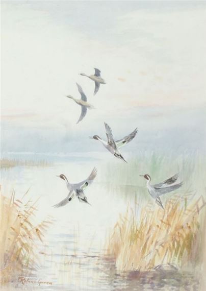 Roland Green | Pintails Alighting over a Broad | MutualArt