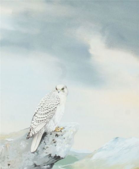 Bryan Reed | Gyr Falcon | MutualArt