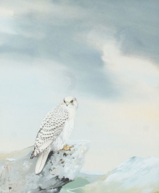 Bryan Reed | Gyr Falcon | MutualArt