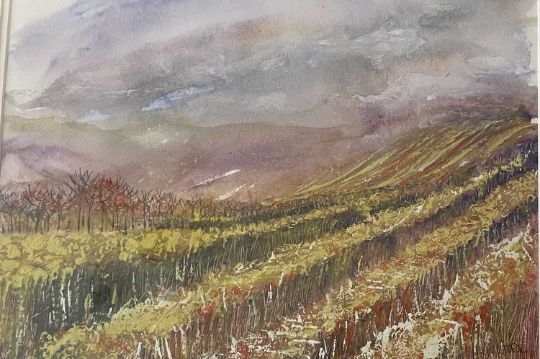 Julia Harris | The Harvest | MutualArt