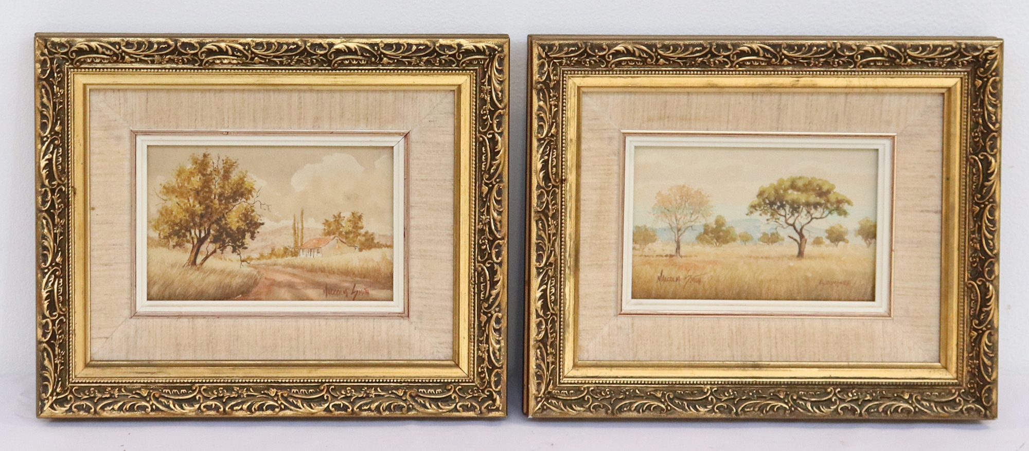 Malcolm Smith | LANDSCAPES | MutualArt