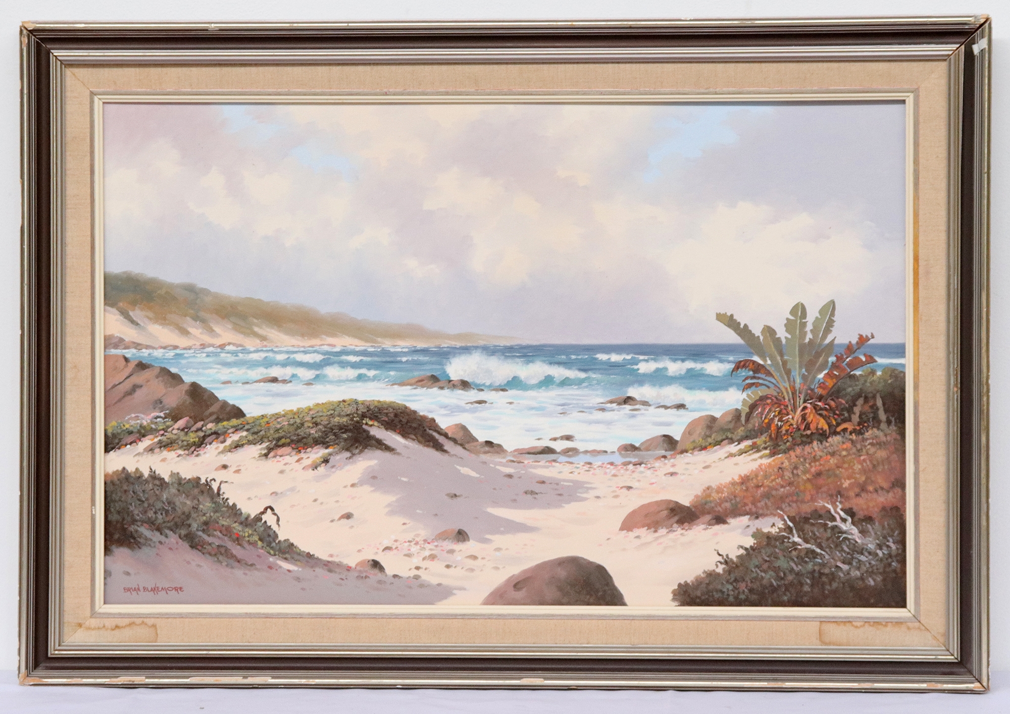 Brian Blakemore | BEACHSCAPE WITH BANANA PALM | MutualArt