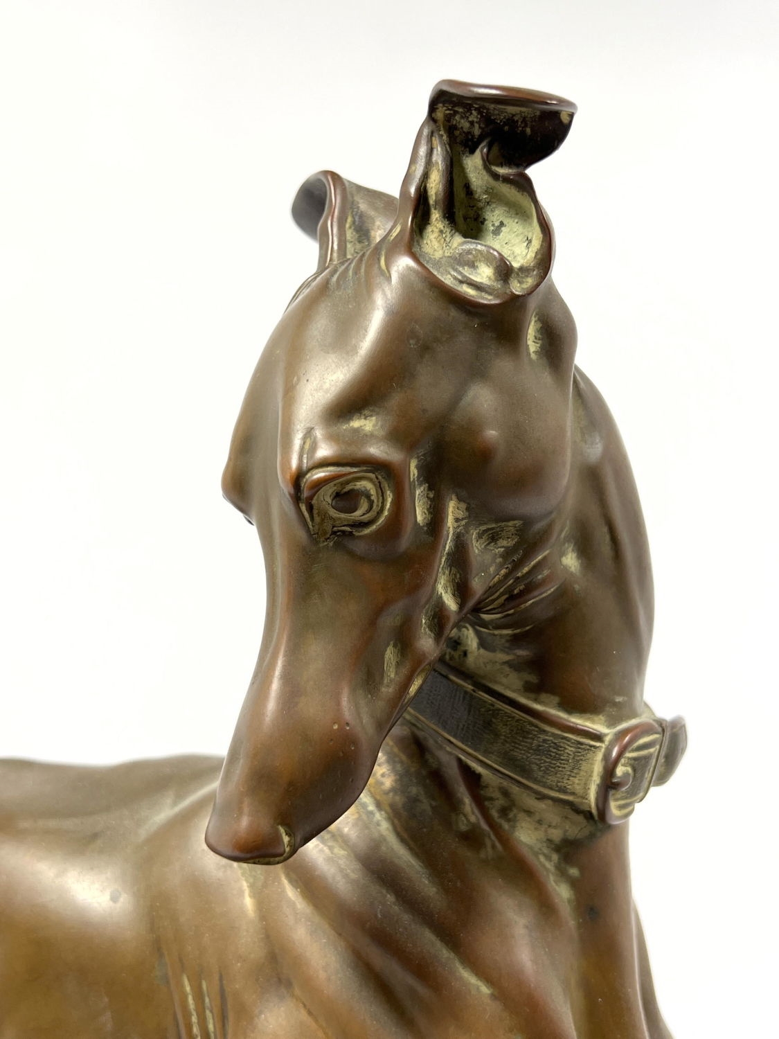 Arthur Waagen | Whippet with Butterfly | MutualArt
