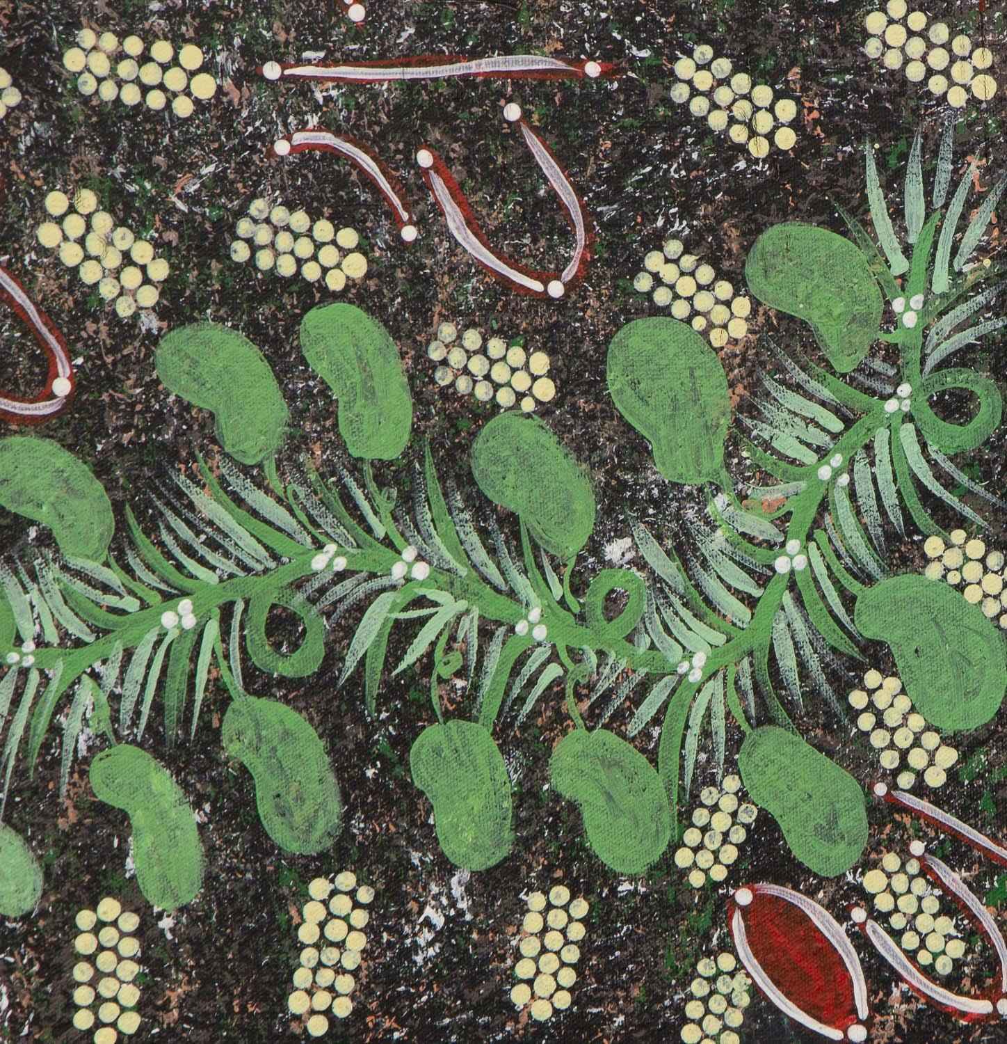 Kathleen McCormack | Bush Banana (2020) | MutualArt