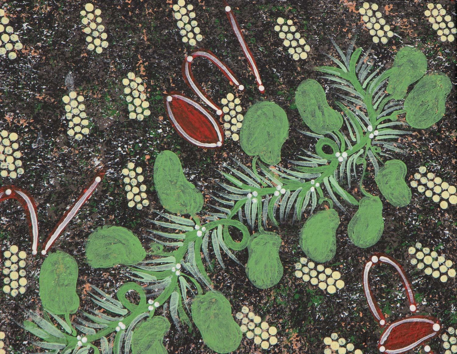 Kathleen McCormack | Bush Banana (2020) | MutualArt