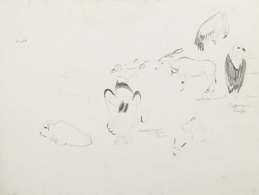 Joseph Hecht | Sketches of animals | MutualArt