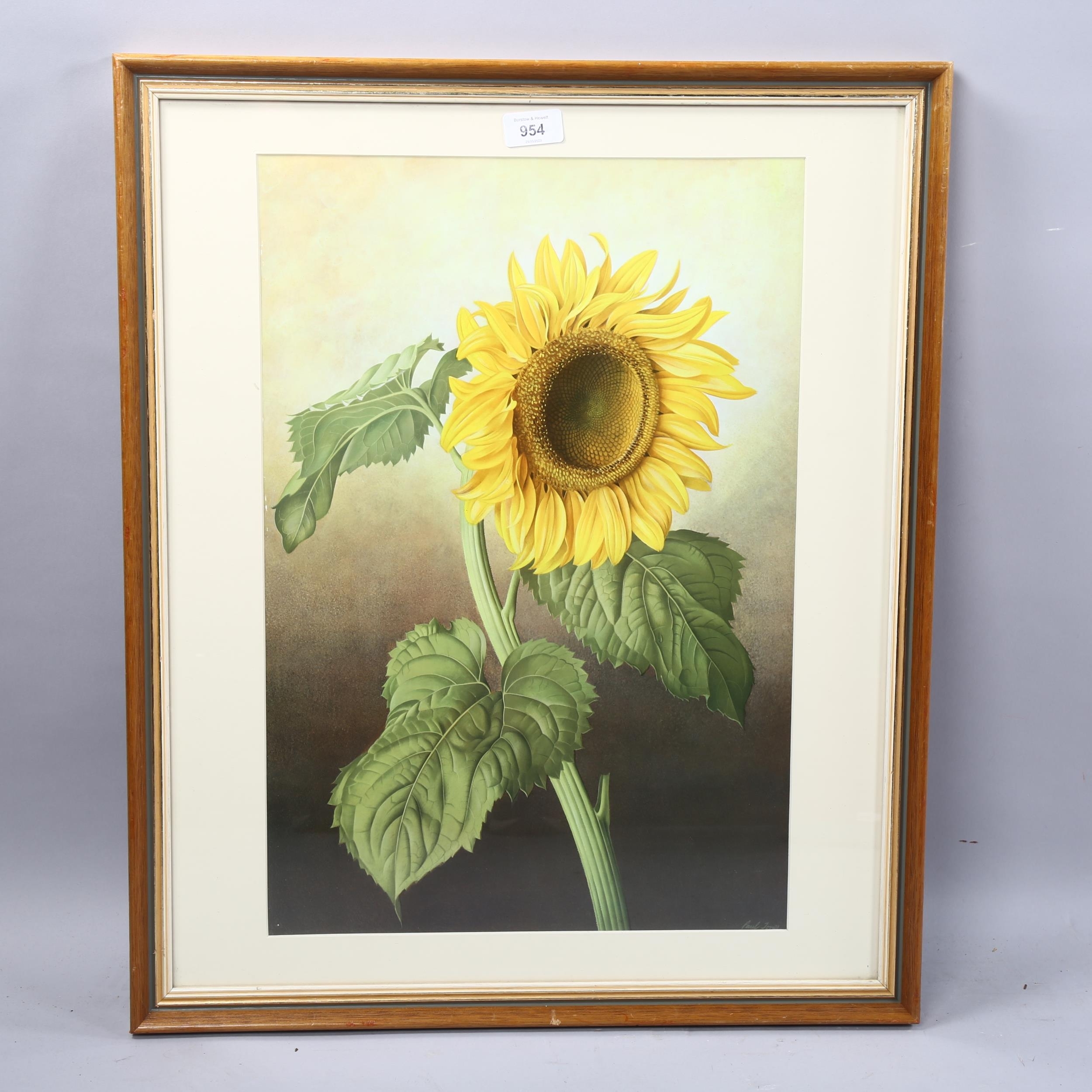 Paul Osborne Jones | Helianthus Annuus (1976) | MutualArt