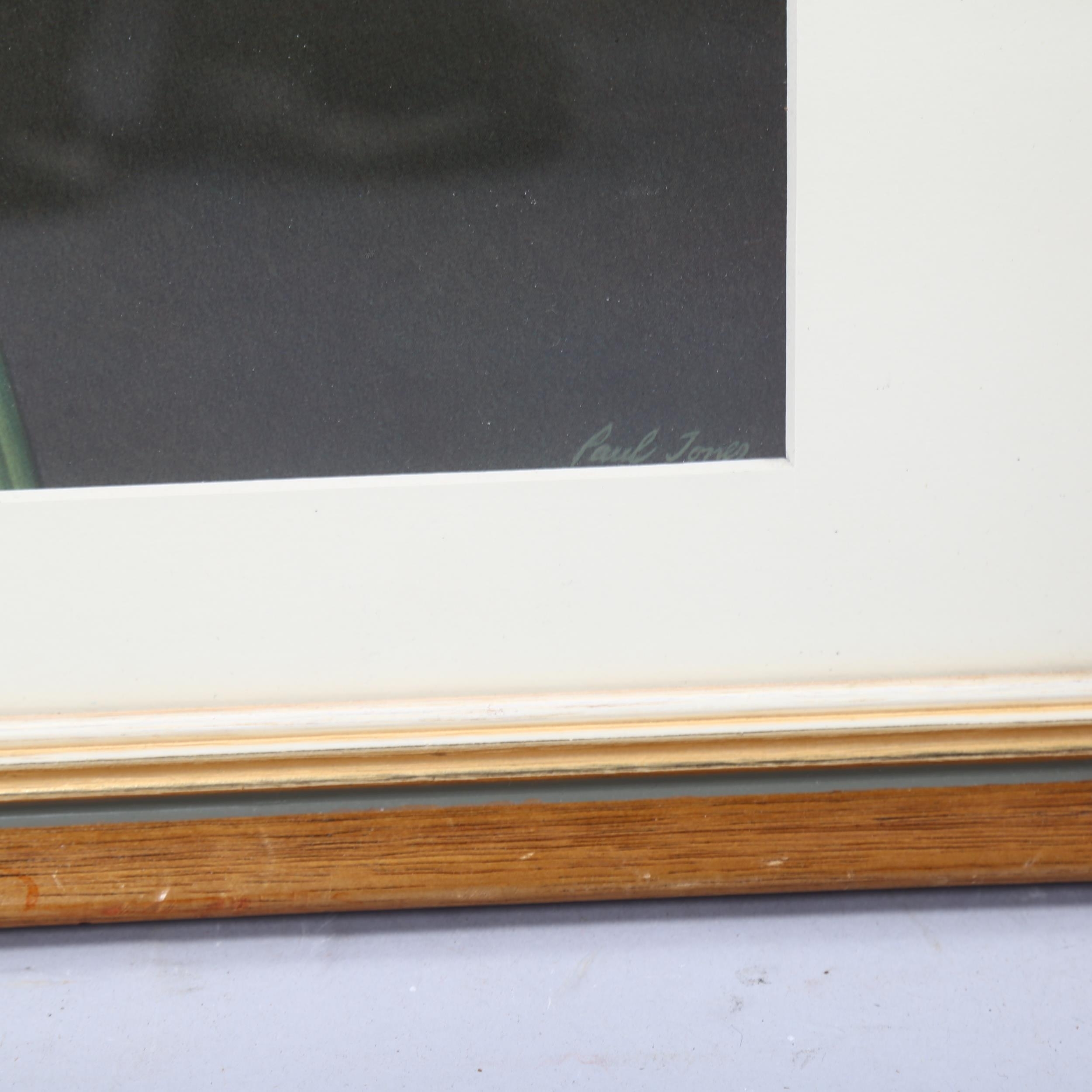 Paul Osborne Jones | Helianthus Annuus (1976) | MutualArt