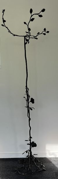 Lode van Boeckel | Arbre d'intérieur | MutualArt